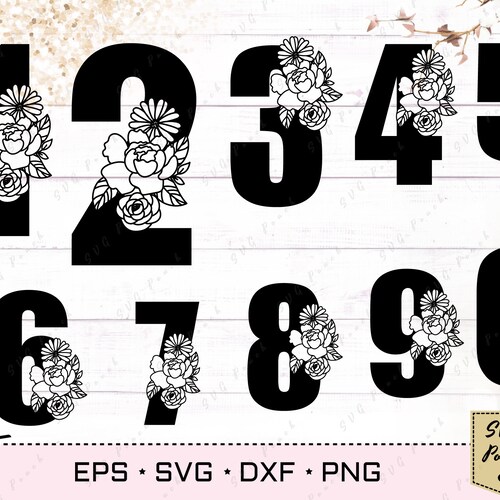FLORAL NUMBERS in SVG Anniversary Birthday Numbers - Etsy
