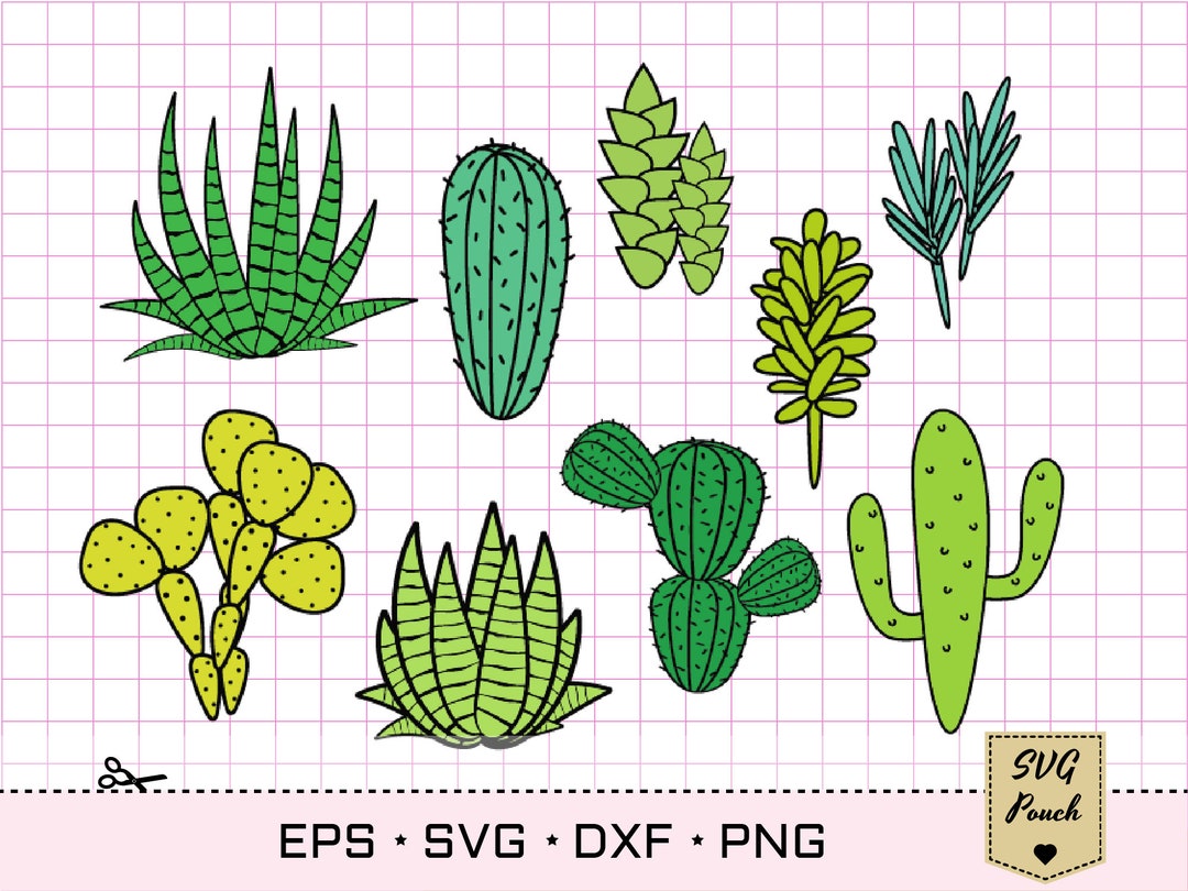 Cactus Svg, Cactus Plants Svg Bundle, Succulent Svg Cactus Cut File ...