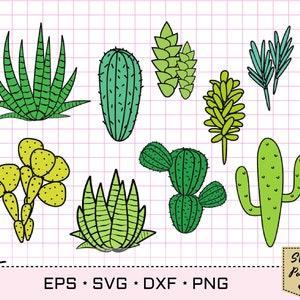 Cactus Svg, Cactus Plants Svg Bundle, Succulent Svg Cactus Cut File ...