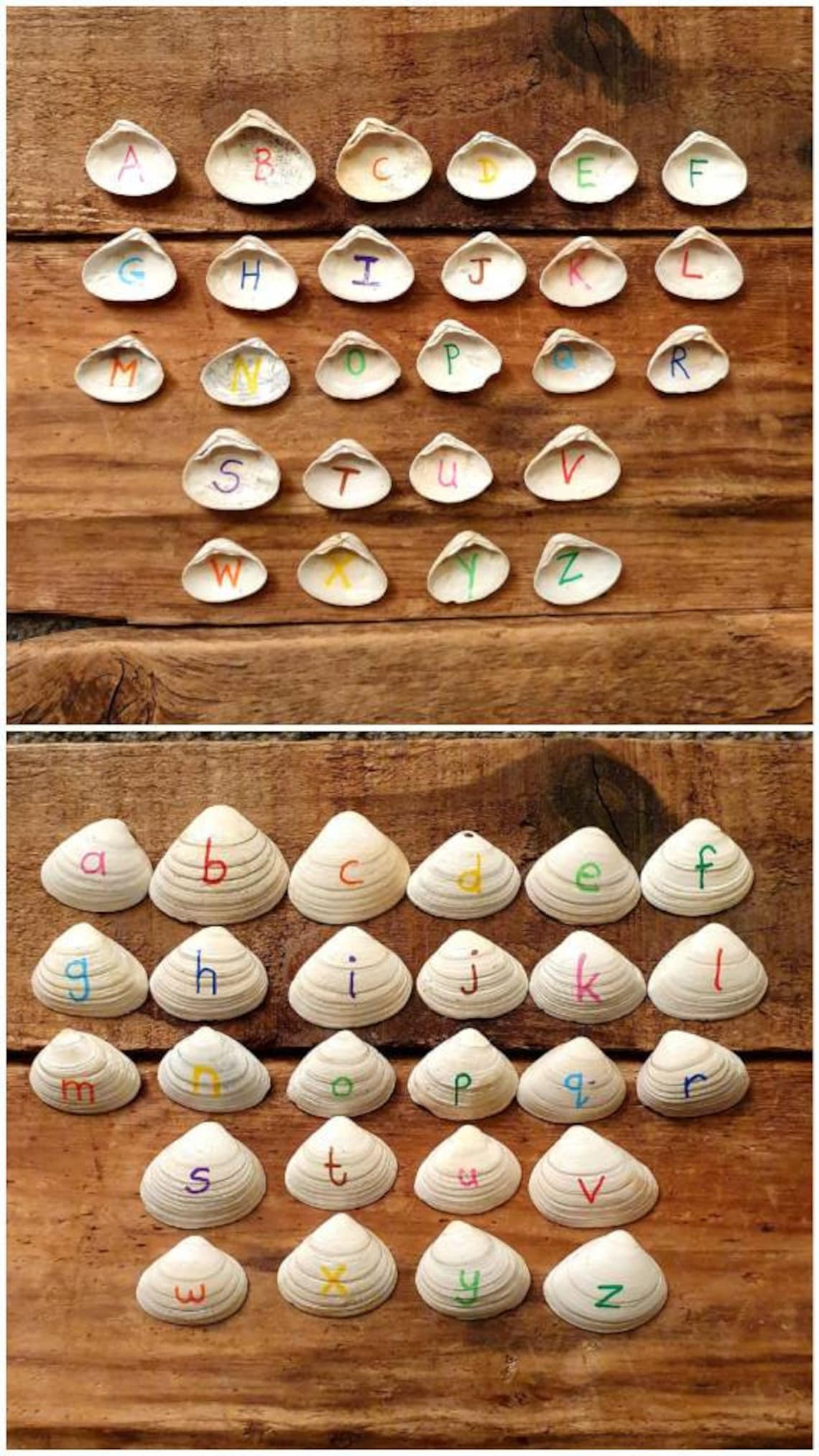 Scottish Alphabet Sea Shells Set - Etsy