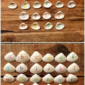 Scottish Alphabet Sea Shells Set - Etsy