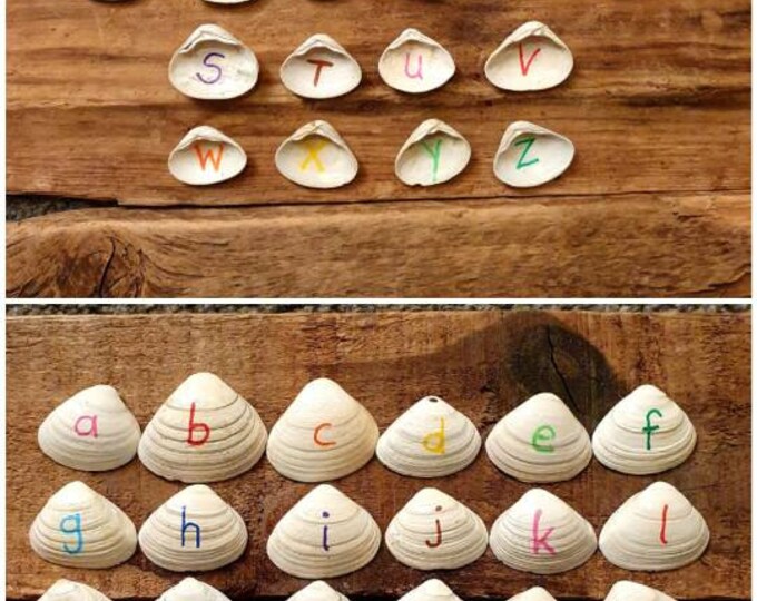 Scottish Alphabet Sea Shells Set - Etsy