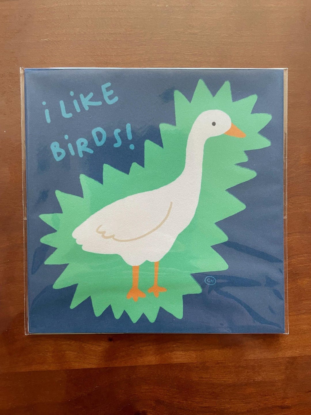 I Like Birds! - Etsy