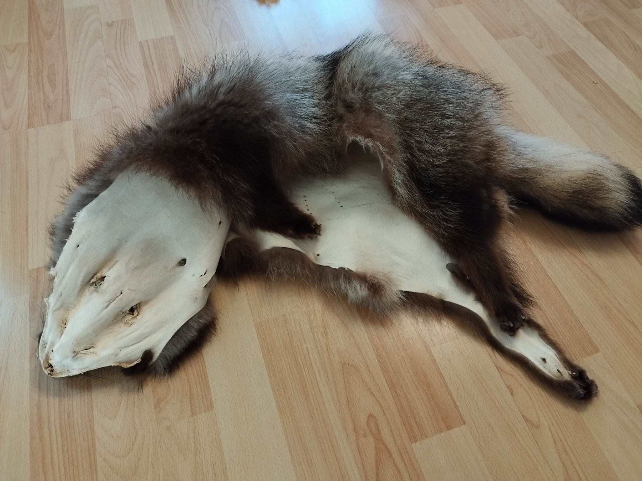 Piel real, piel de animal, pieles, piel, piel de mapache, piel de ...