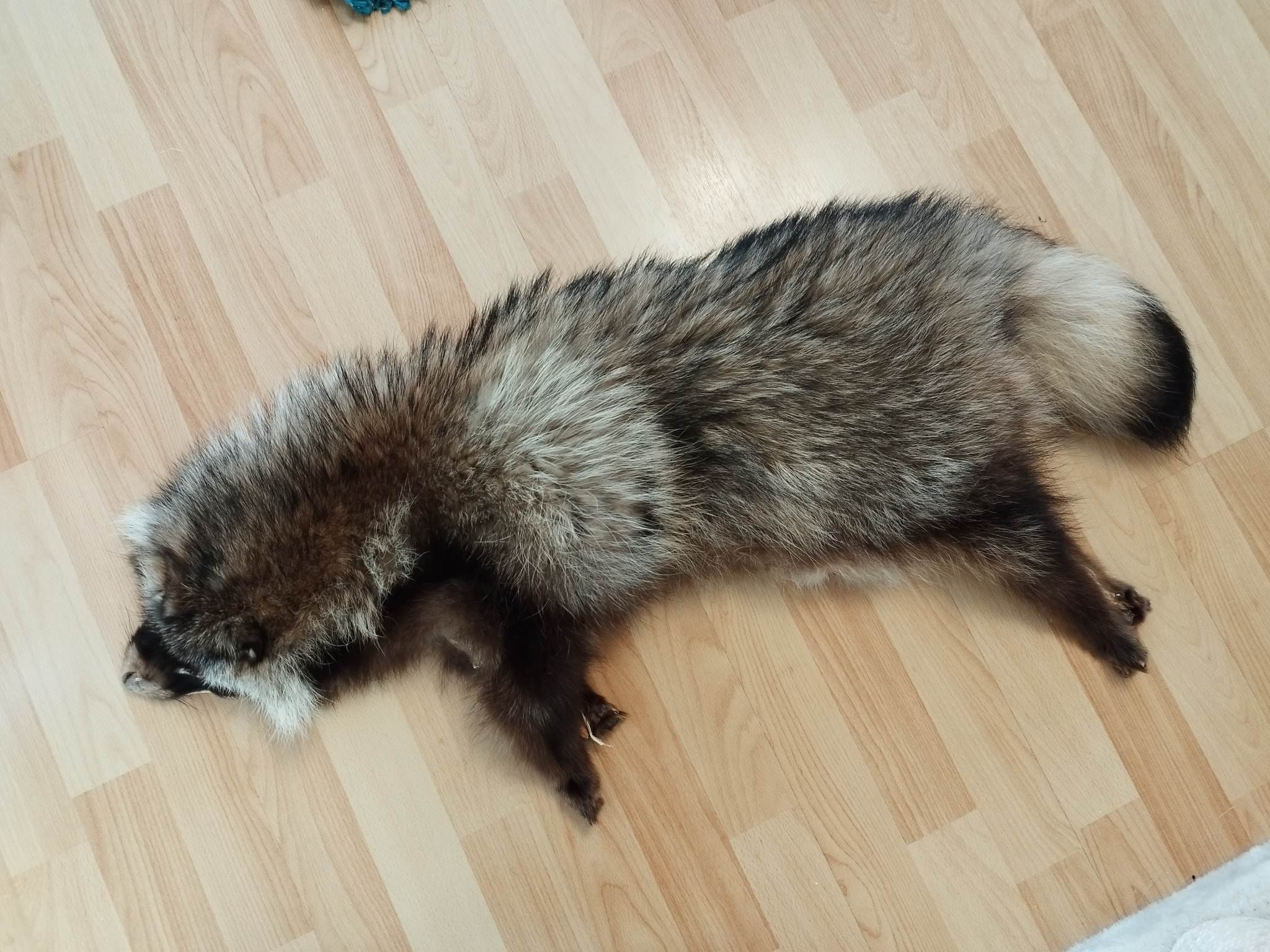 Piel real, piel de animal, pieles, piel, piel de mapache, piel de ...