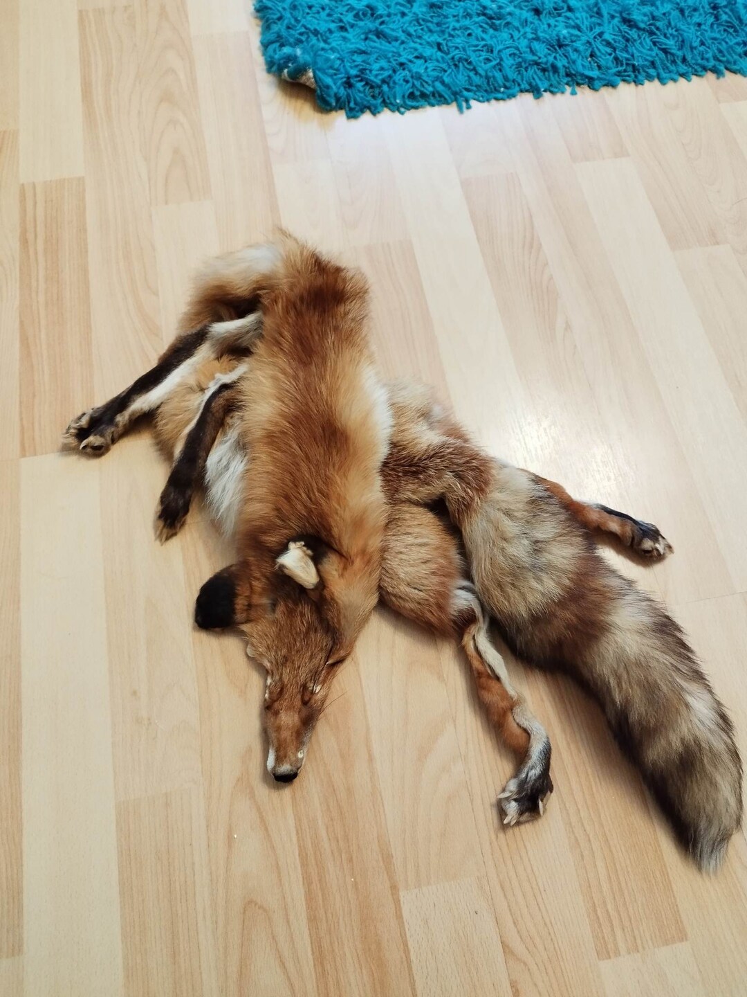 Real Fur Animal Fur Skins Fur Fox Fur Fox Fur Hide Fox - Etsy