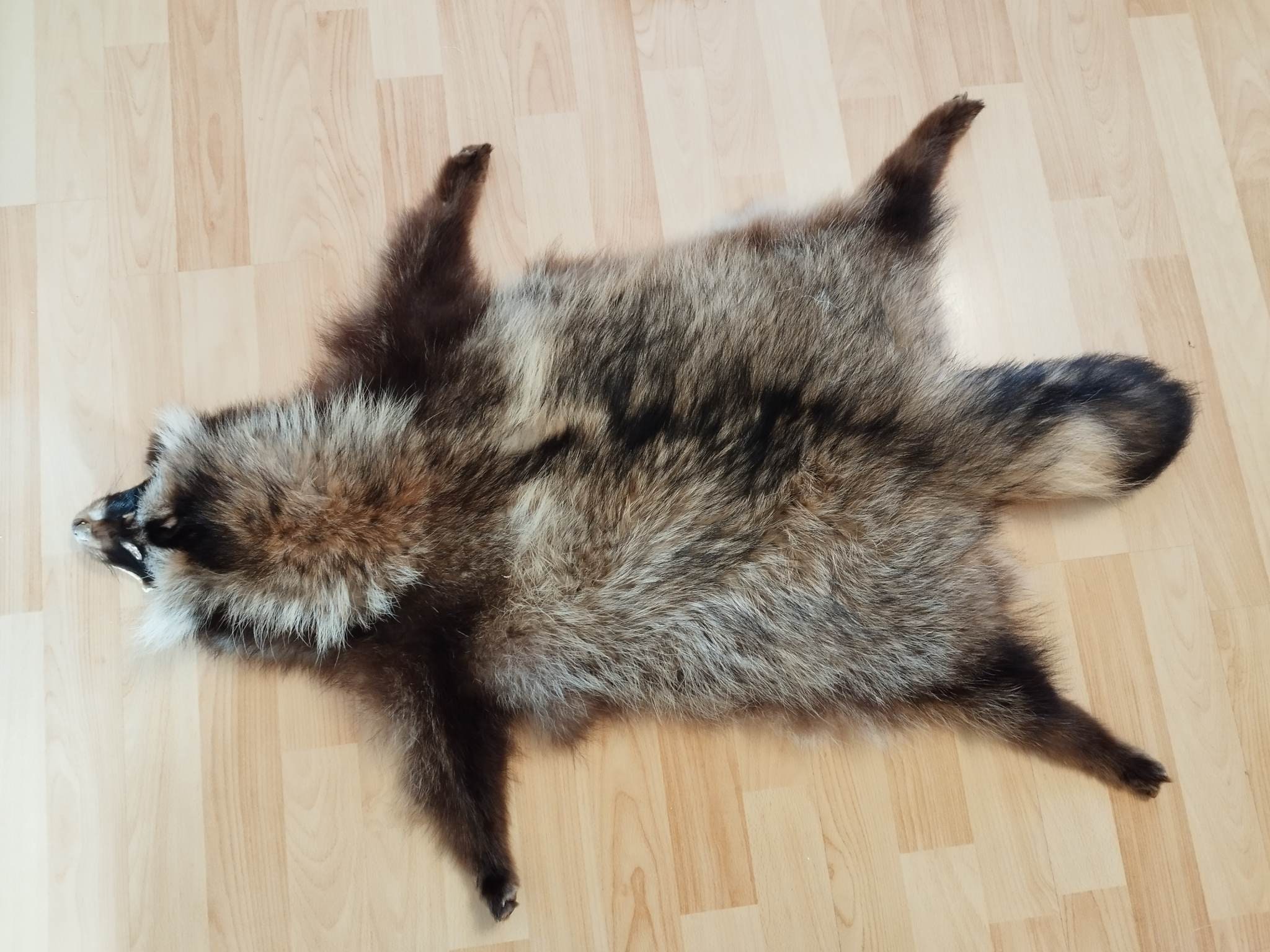 Piel real, piel de animal, pieles, piel, piel de mapache, piel de ...