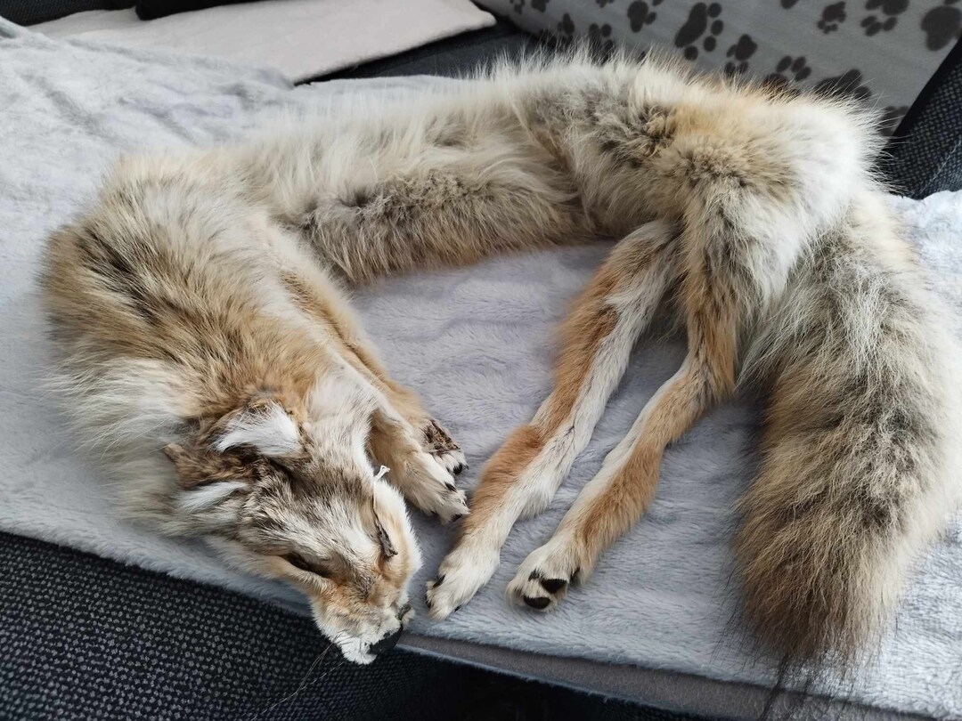 Dieser Artikel ist nicht verfügbar - Etsy