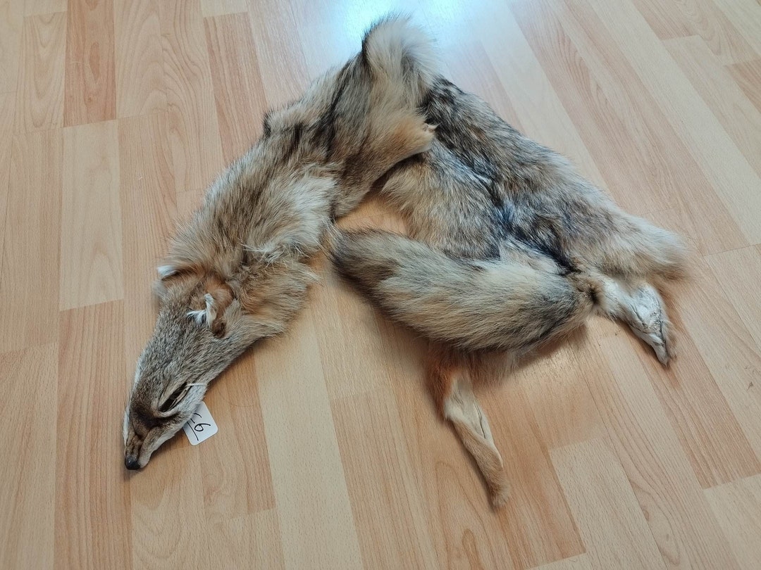 Vraie fourrure, fourrure animale, peaux, fourrure, coyote, fourrure de ...