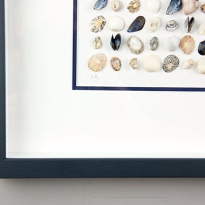 Unique Shell Art From the North Cornwall Coast - Etsy