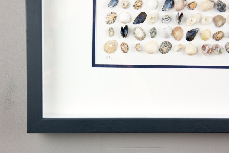 Unique Shell Art From the North Cornwall Coast - Etsy UK