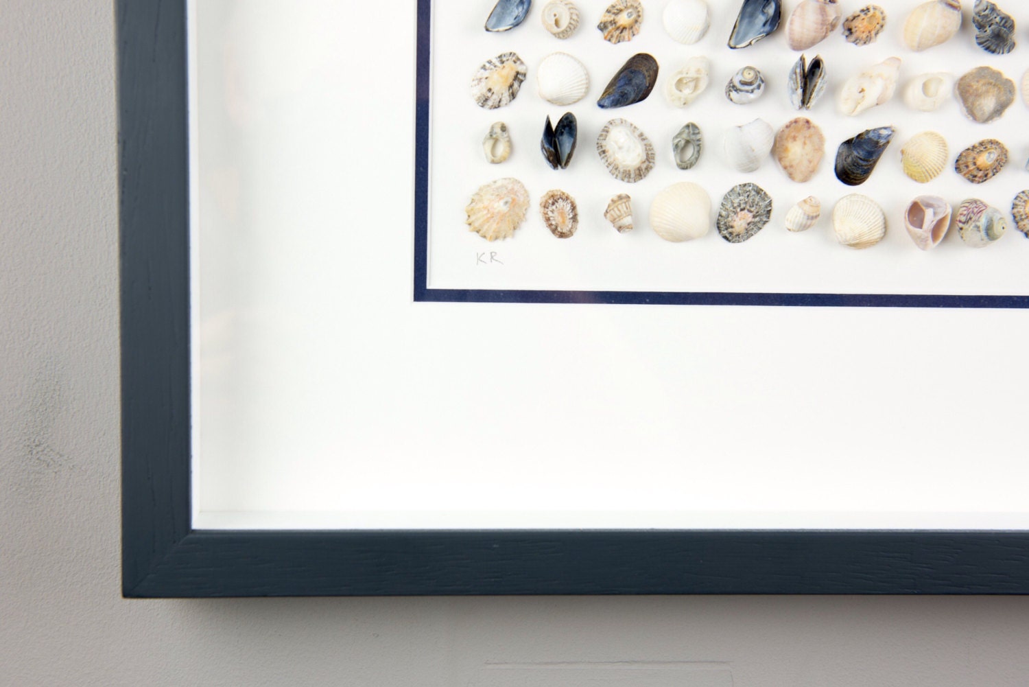 Unique Shell Art From the North Cornwall Coast - Etsy