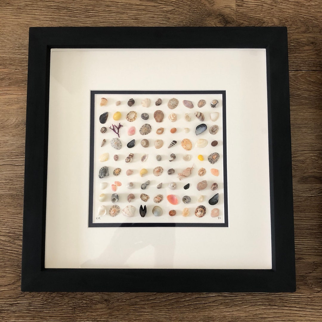Sea Shell Art From the North Cornwall Coast - Etsy