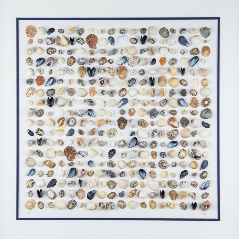 Unique Shell Art From the North Cornwall Coast - Etsy UK