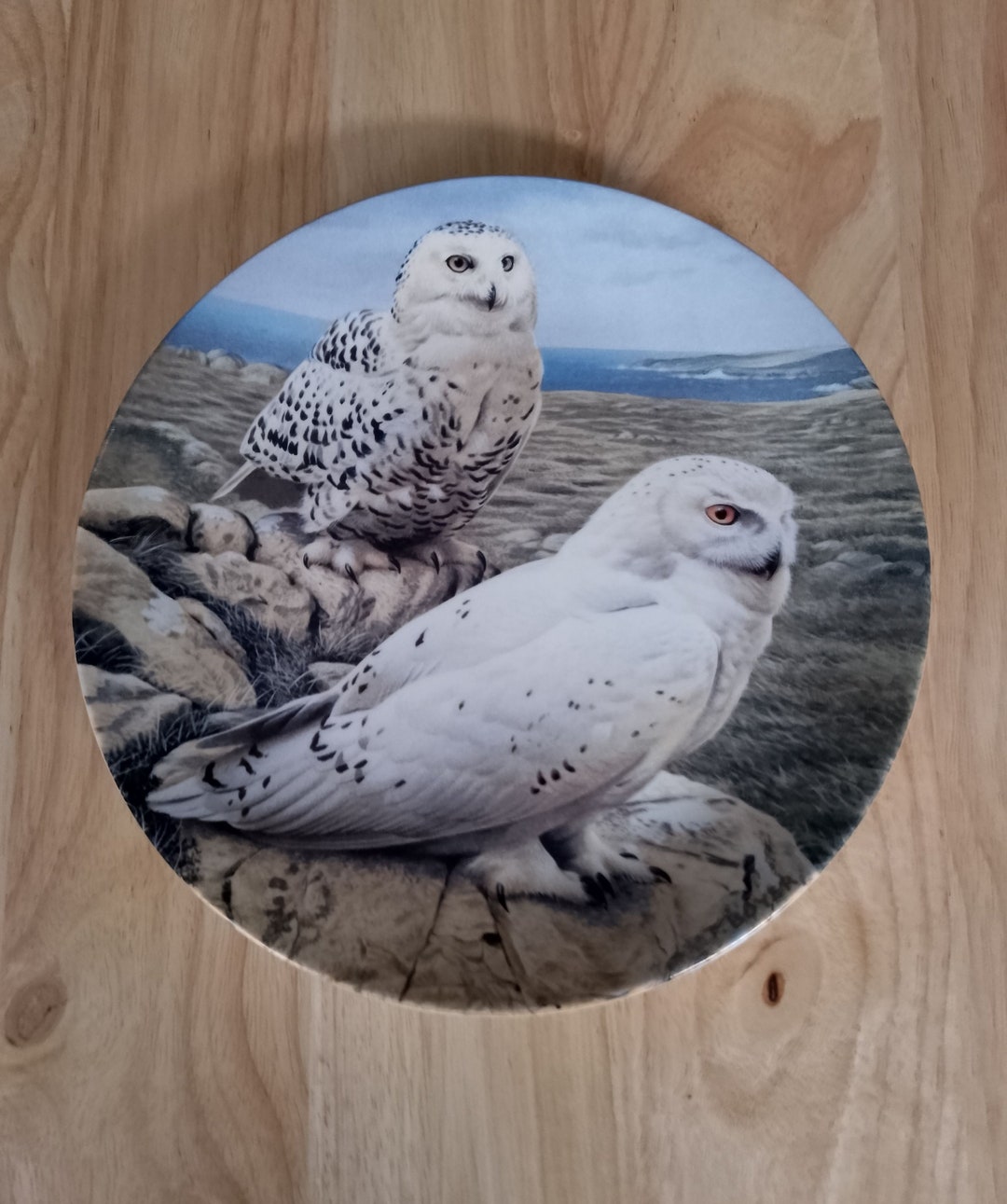 Snowy Owls Collectors Plate by Danbury Mint - Etsy
