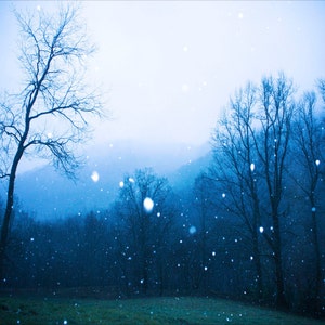 Snow Print, Fine Art Photography, First Snow, Blue Ridge Mountains - Etsy