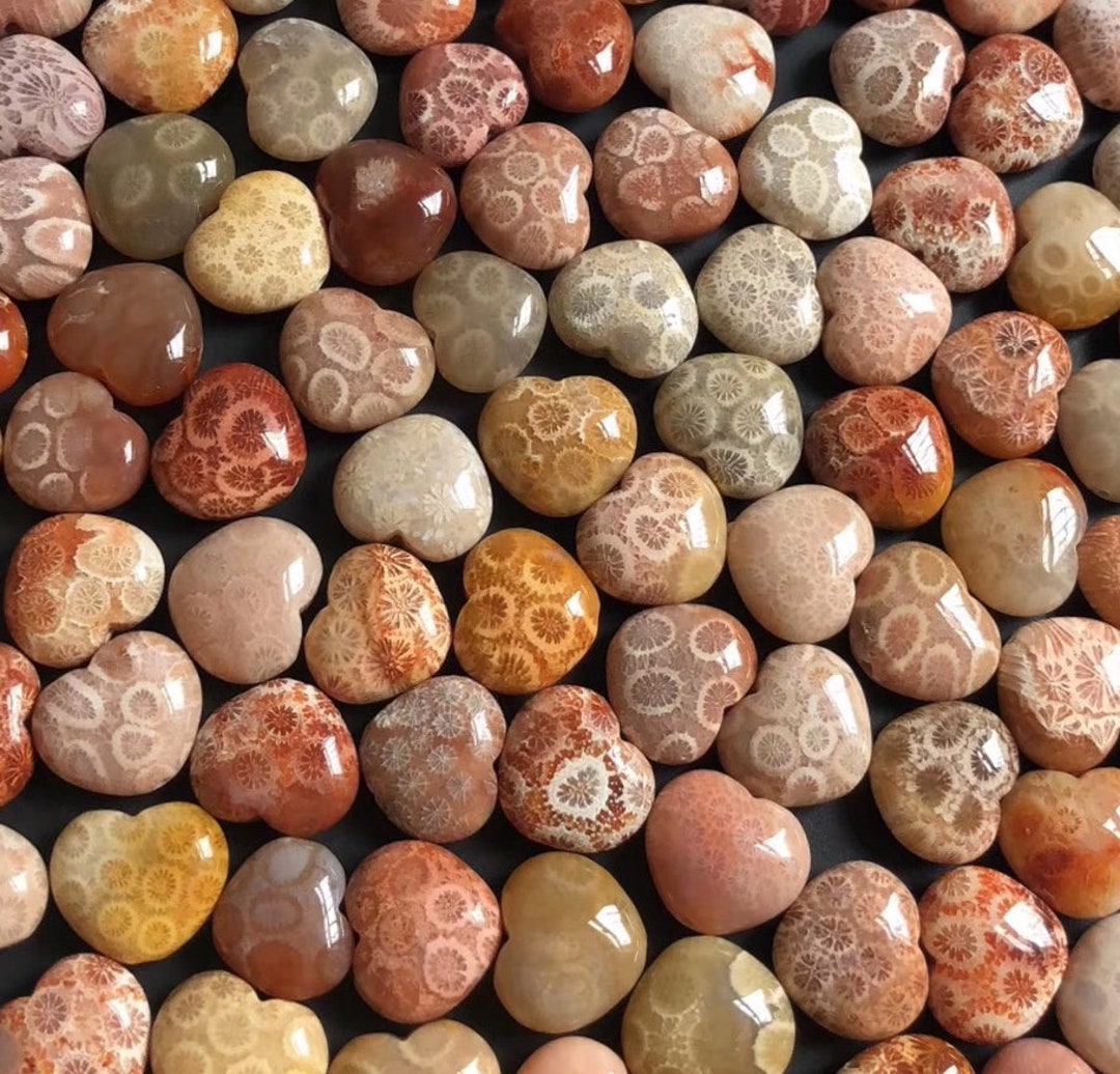 2pc Natural Coral Jade Fossil Heart Charms,exclusive Quality Untreated ...