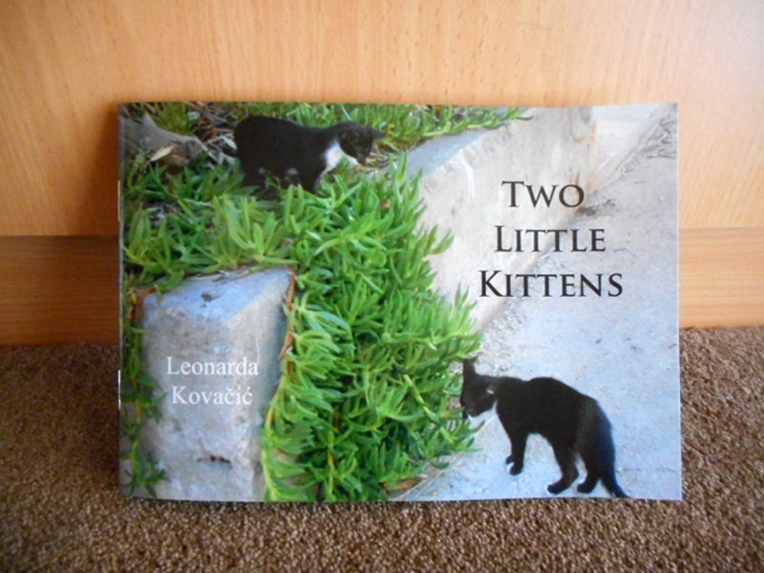 TWO LITTLE KITTENS - Children's Photo Book - Etsy