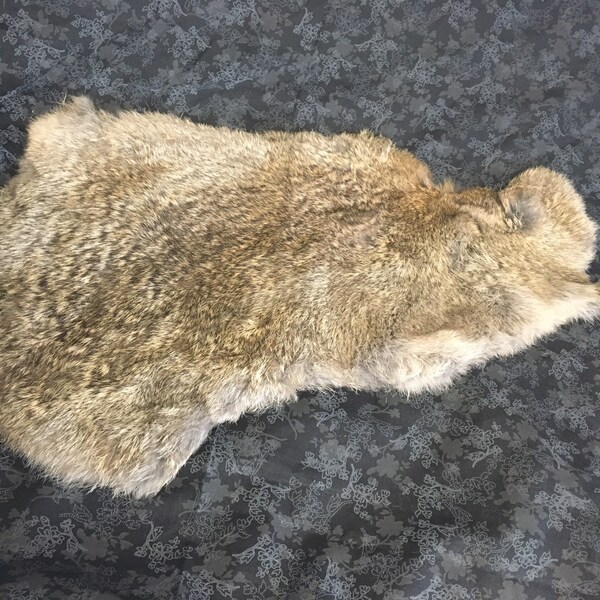 Rabbit Pelt - Etsy