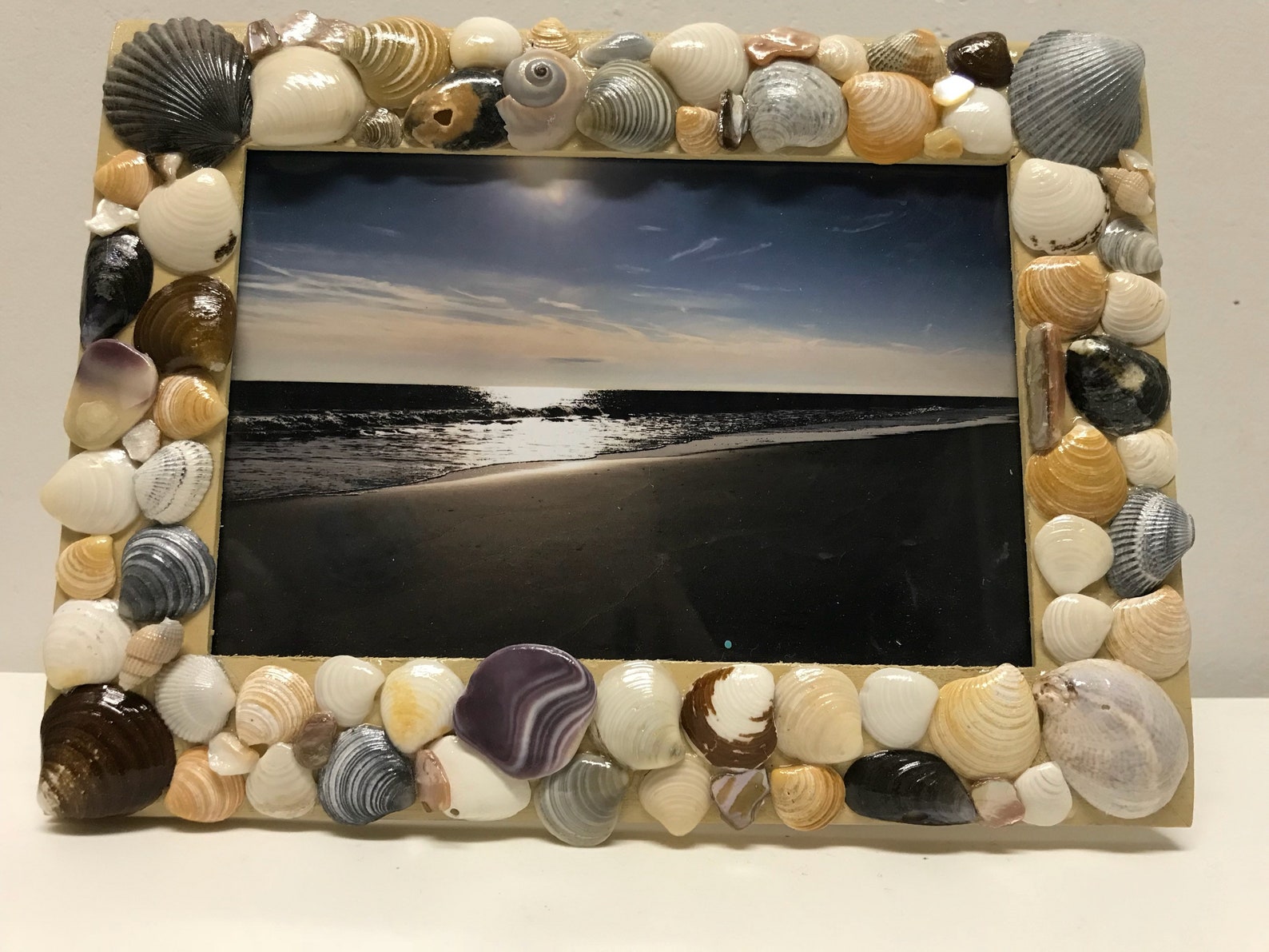 Sea Shell Picture Frame - Etsy