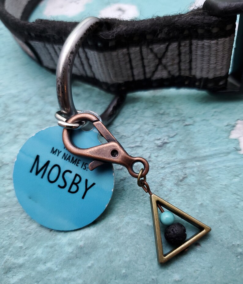 Ravenclaw Harry Potter Aromatherapy Pet Collar Charm (with Natural ...