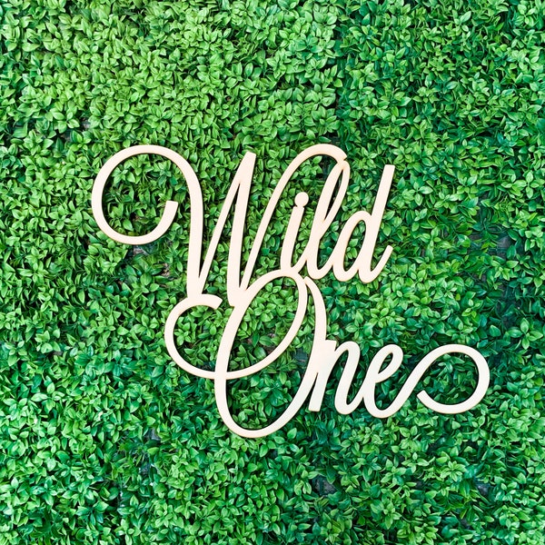 Wild One Backdrop - Etsy