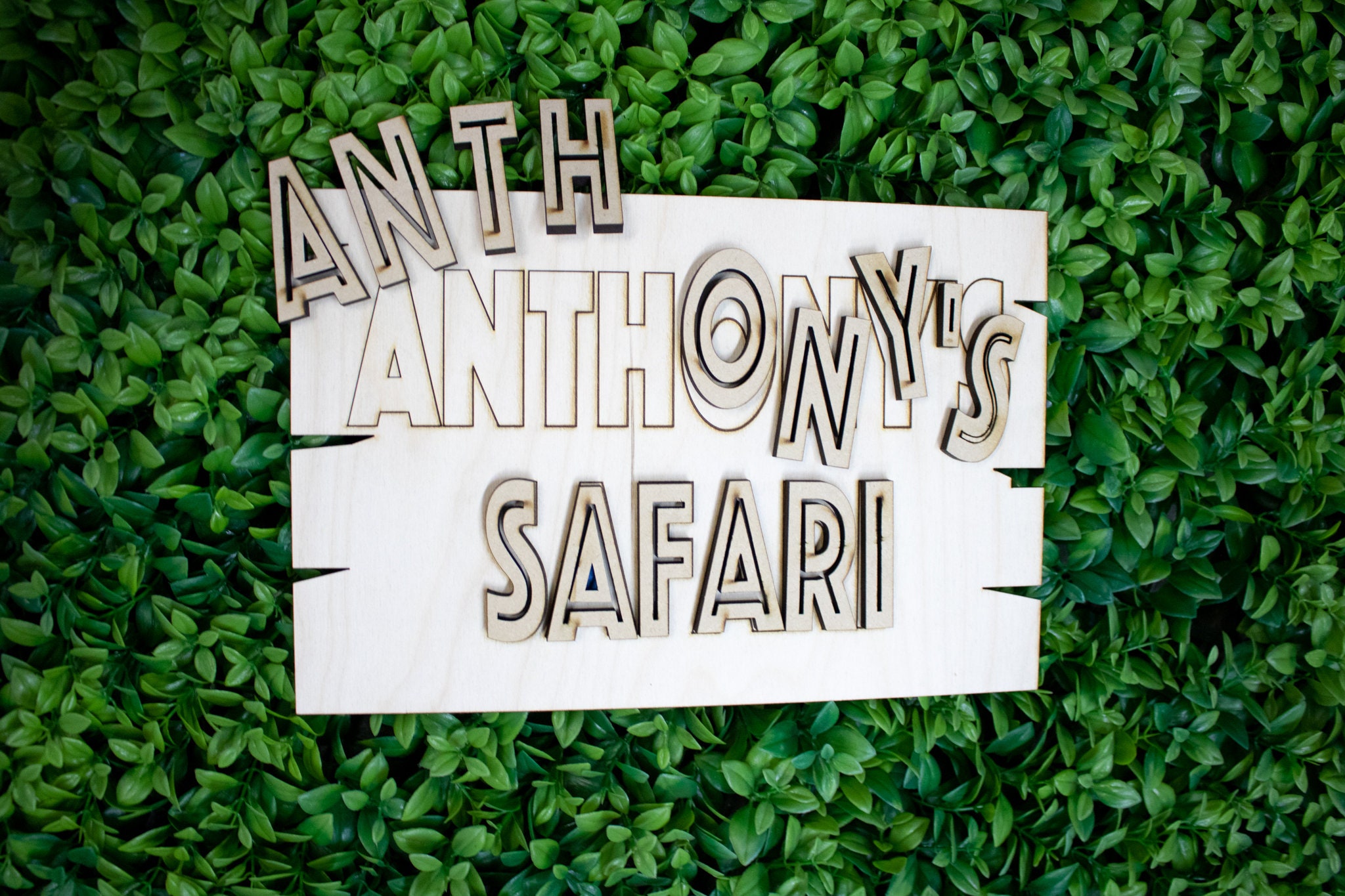 Custom/personalized Safari Theme Wooden Sign/backdrop - Etsy