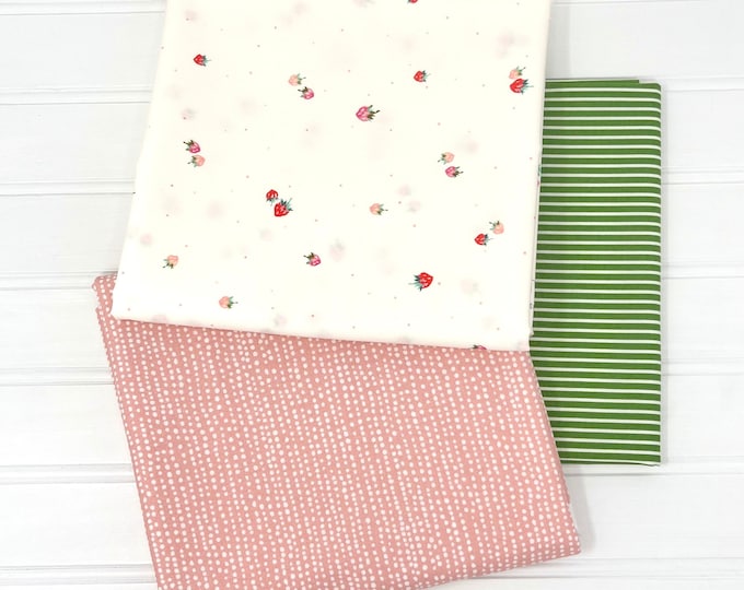 Whole Cloth Quilt Kit/ DIY Baby Quilt/quilt Kit for Baby/premium ...