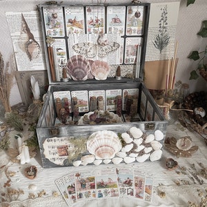 Personalized Apothecary Witch Altar Set Altar Set Cabinet / Pagan ...