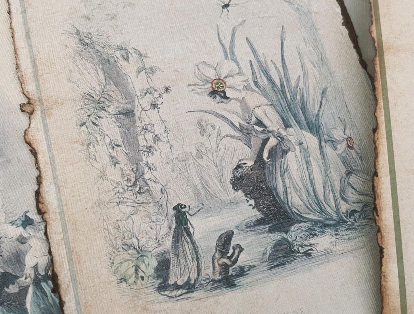 Vintage French Botanical Prints Set Art Print Antique - Etsy