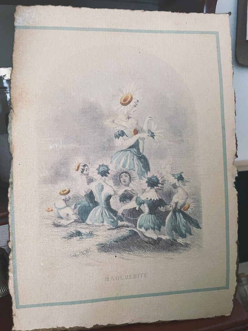 Vintage French Botanical Prints Set Art Print Antique - Etsy