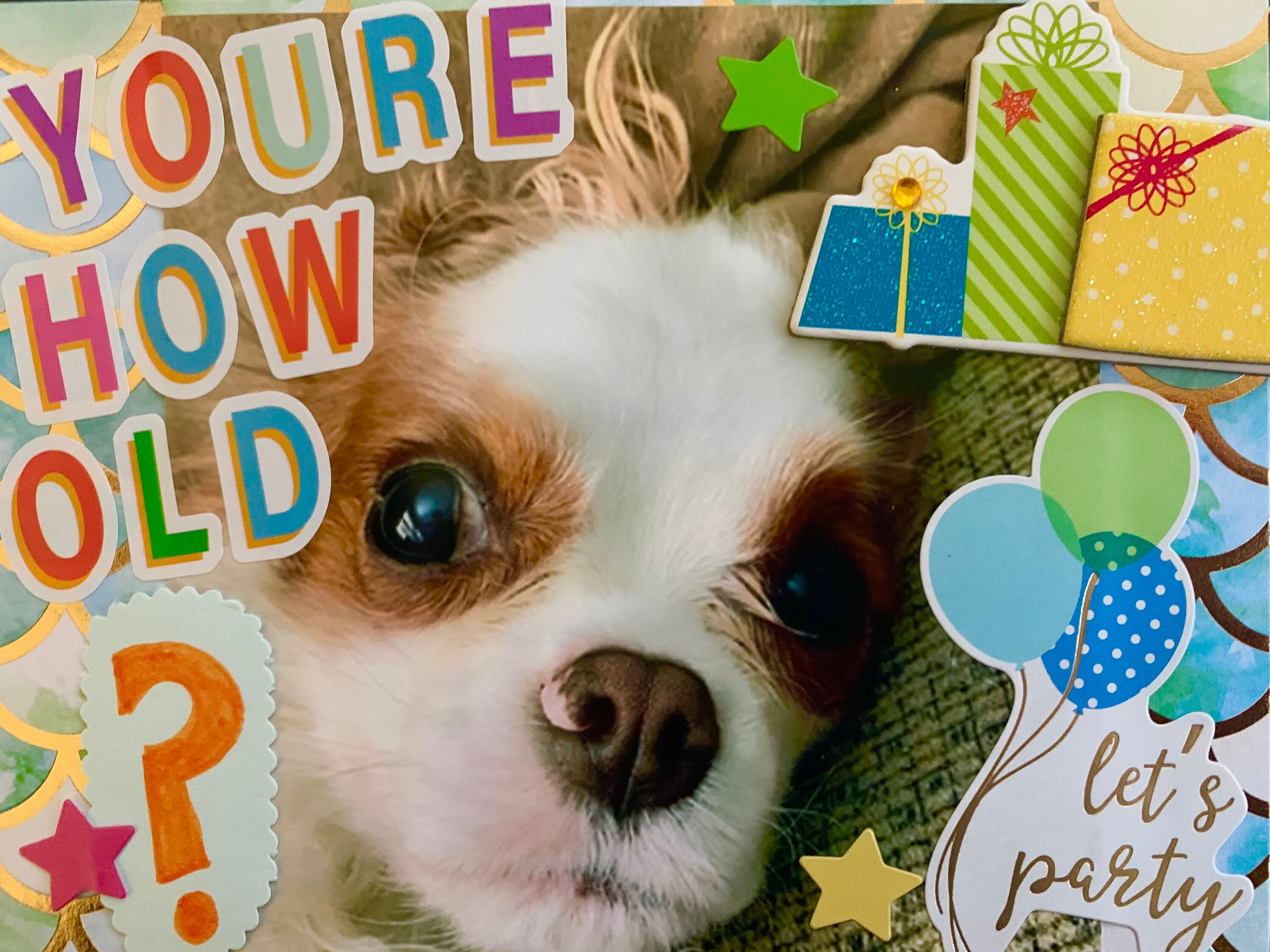 Personalized Pet Photo Card Gift for Dog Lover Gift for | Etsy