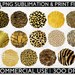Glam Animal Print Sublimation Background Bundle of 42 2 PNG Print File ...
