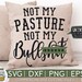 Not My Pasture Not My Bull Uncensored Svg Eps Dxf Png Files for Cutting ...
