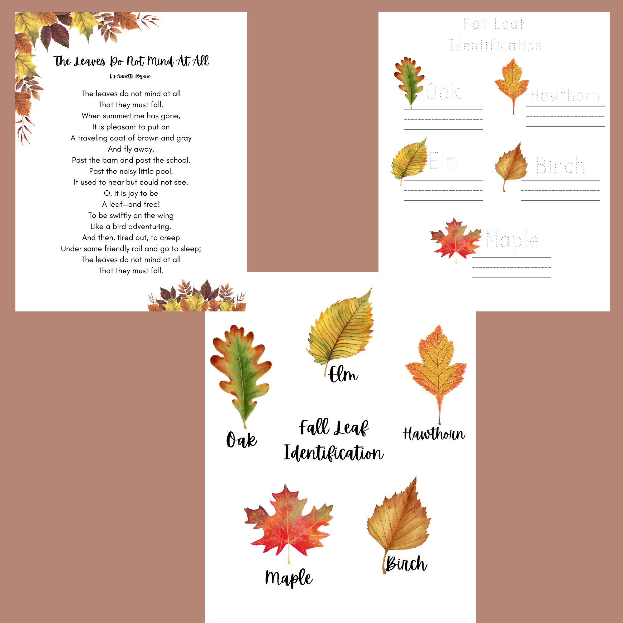 Fall Mini Bundle. Scripture Writing. Fall Activities. Homeschool ...