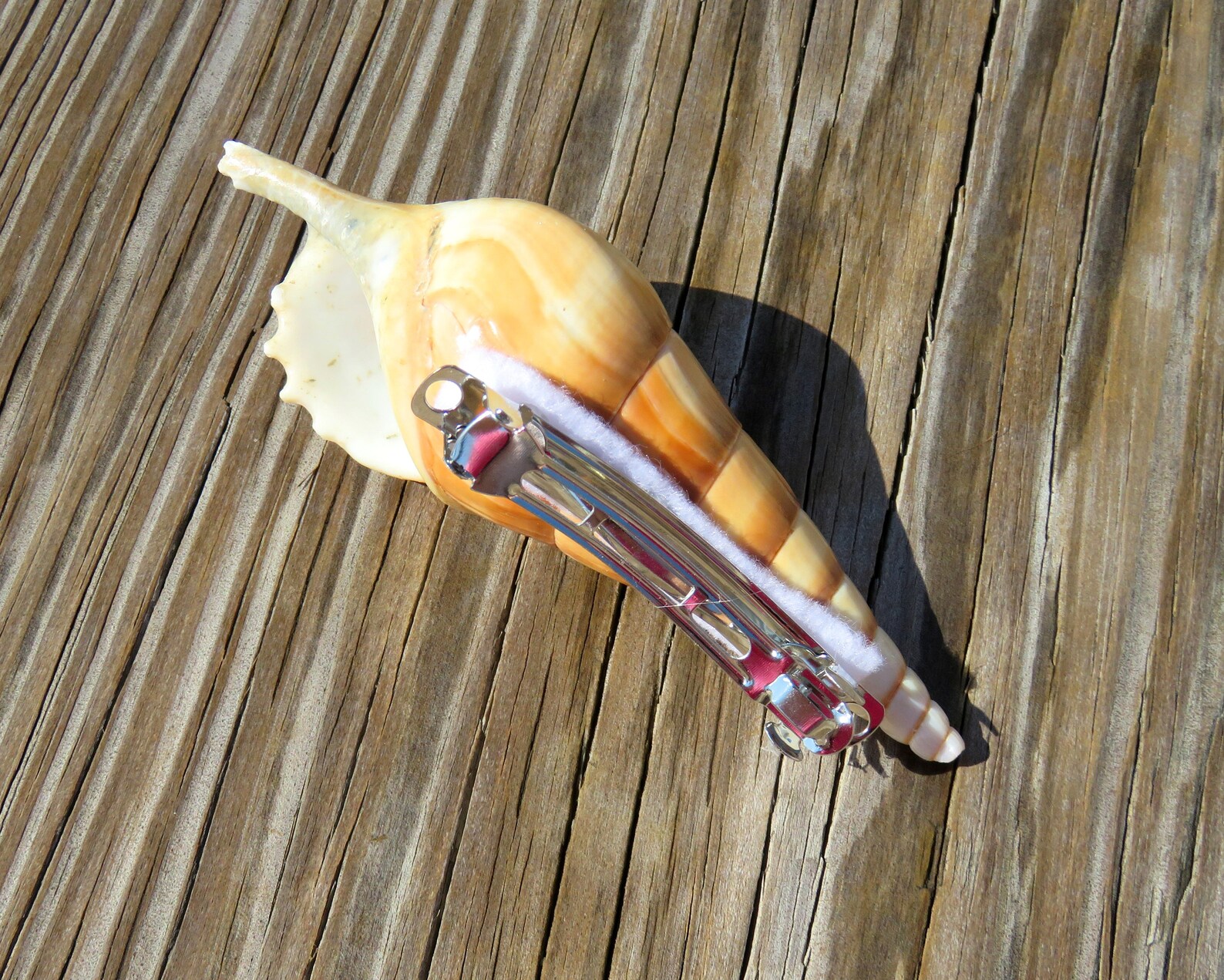 Unicorn Horn Seashell Barrette // Tibia Seashell Barrette // Orange ...