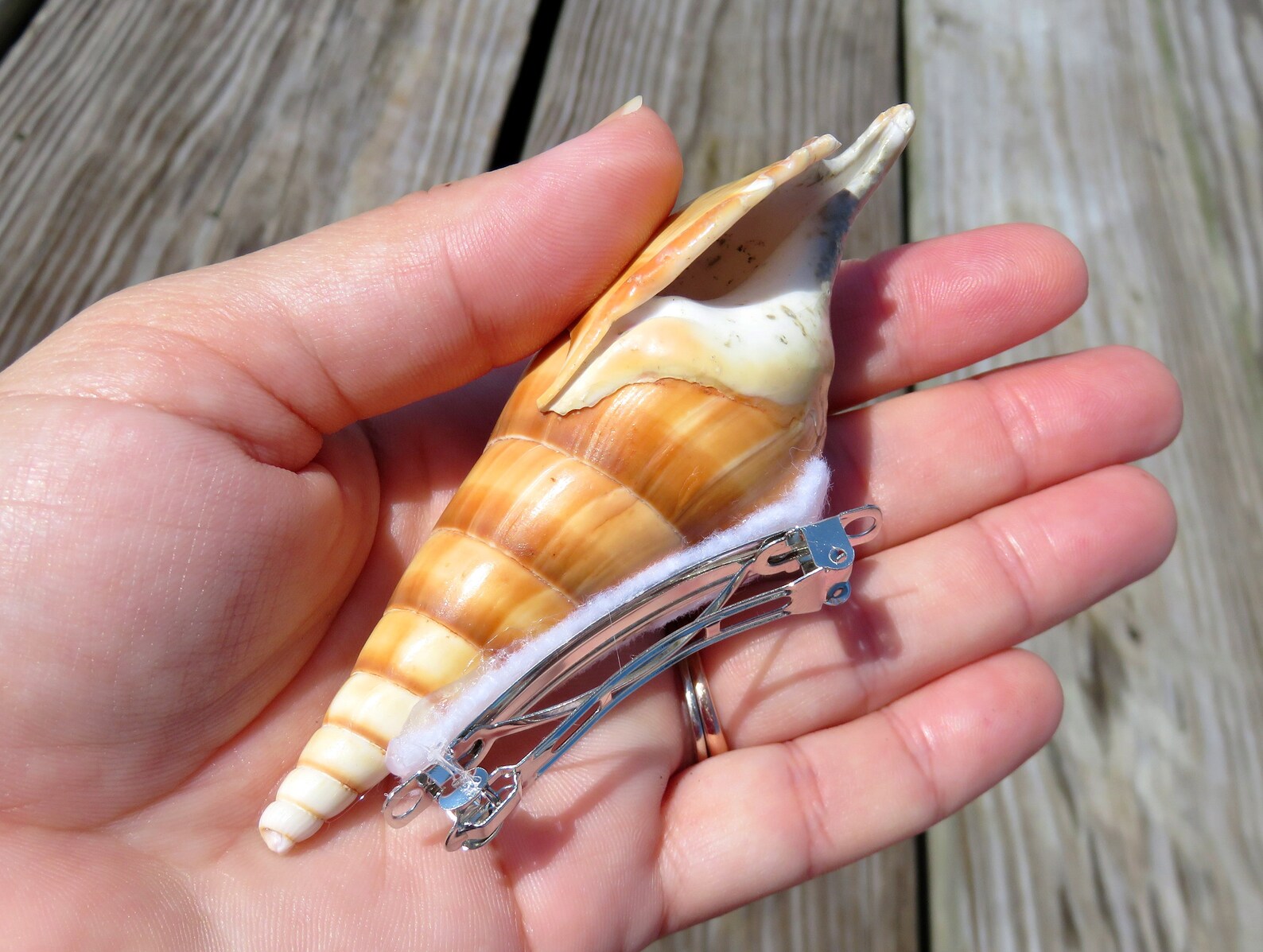Unicorn Horn Seashell Barrette // Tibia Seashell Barrette // Orange ...