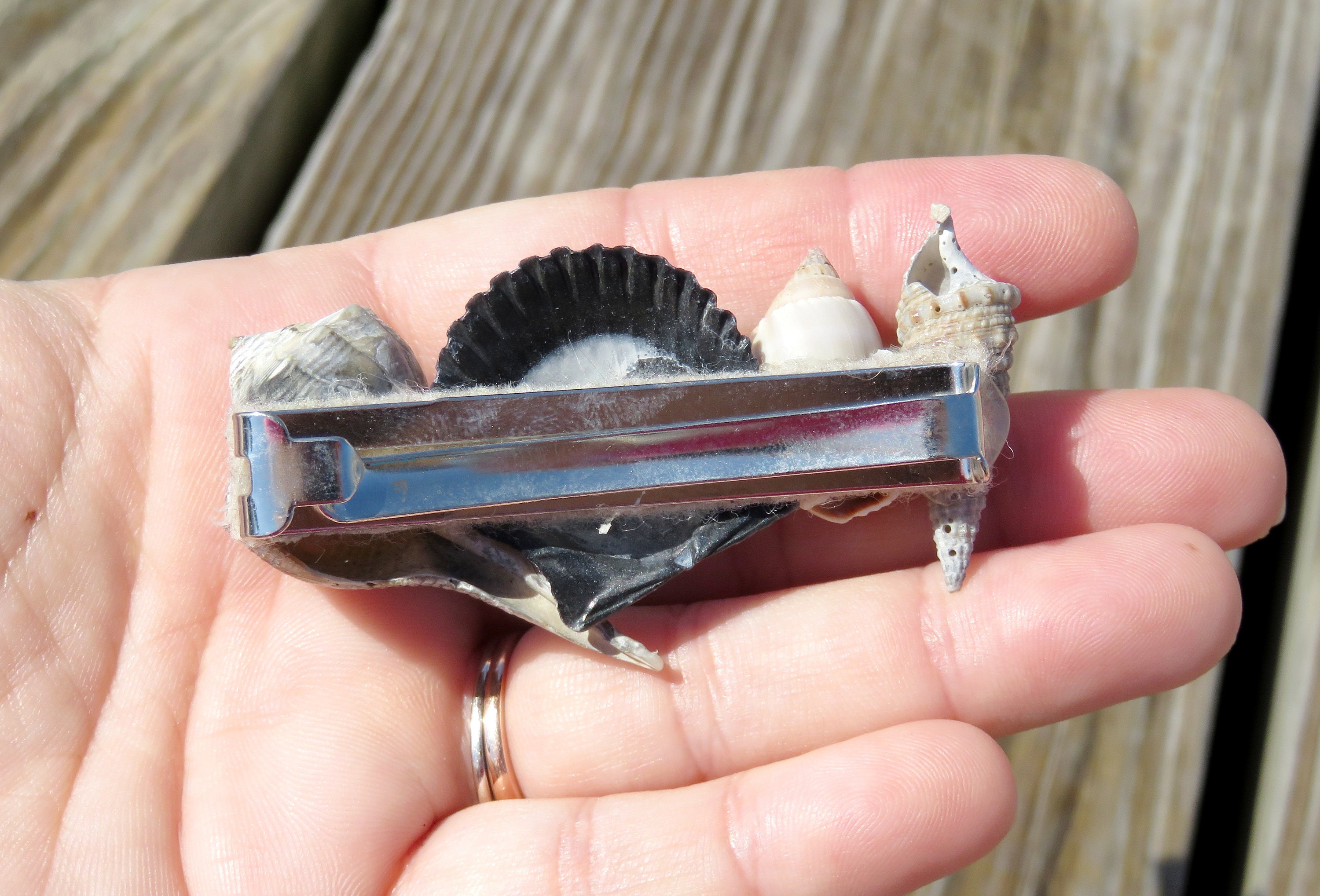 Real Seashell Hair Barrette // Beach Hair Barrette // Seashell Barrette ...