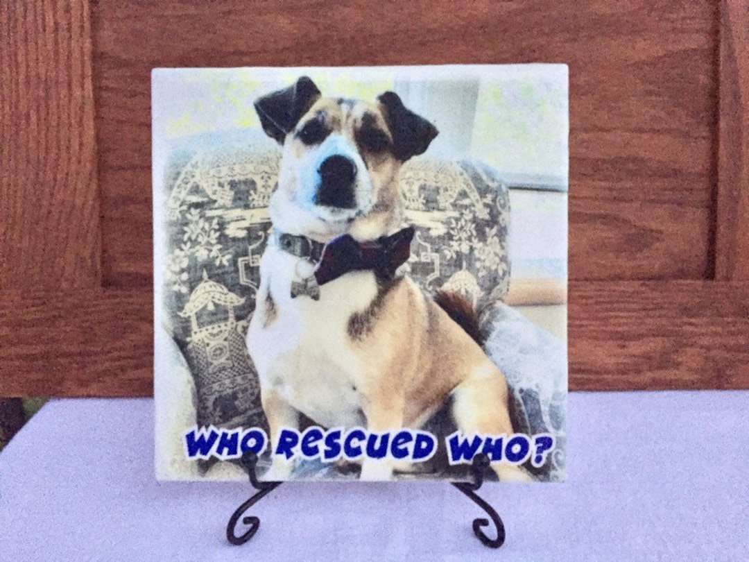 4.25x4.25 Custom Ceramic Tile, Personalized Ceramic Tile, Ceramic Tile ...
