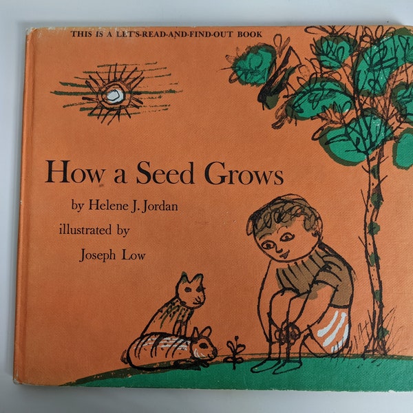 Lets Read and Find - Etsy