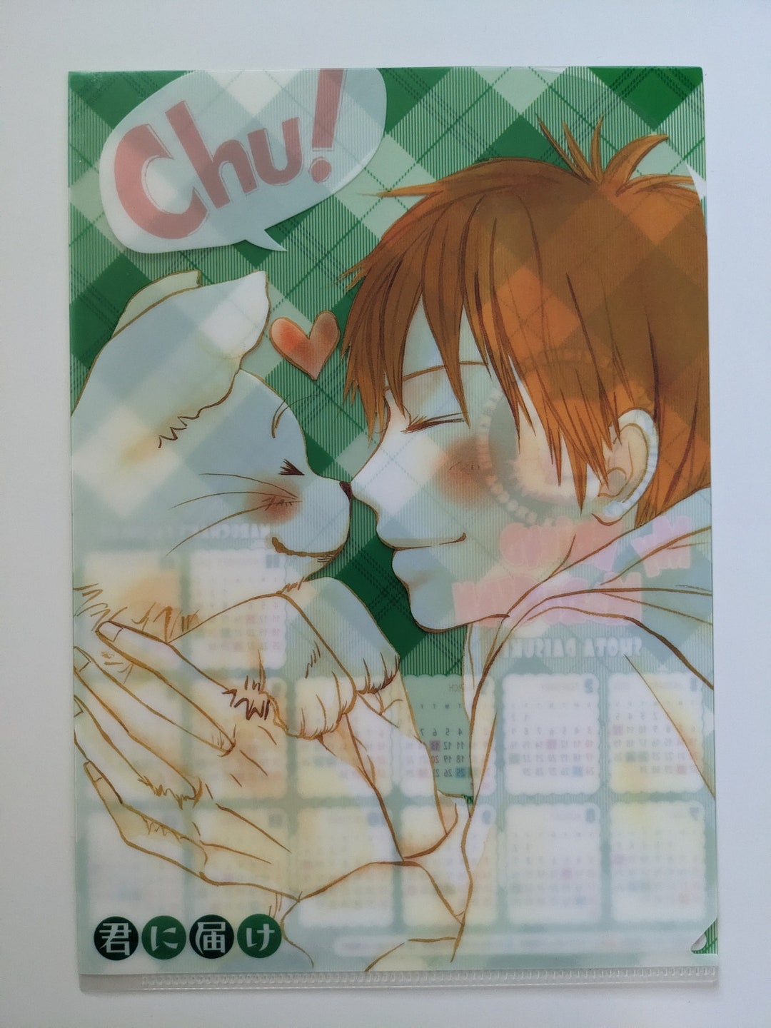 Kimi Ni Todoke Plastic Clear File, Illustrated by Karuho Shiina ...