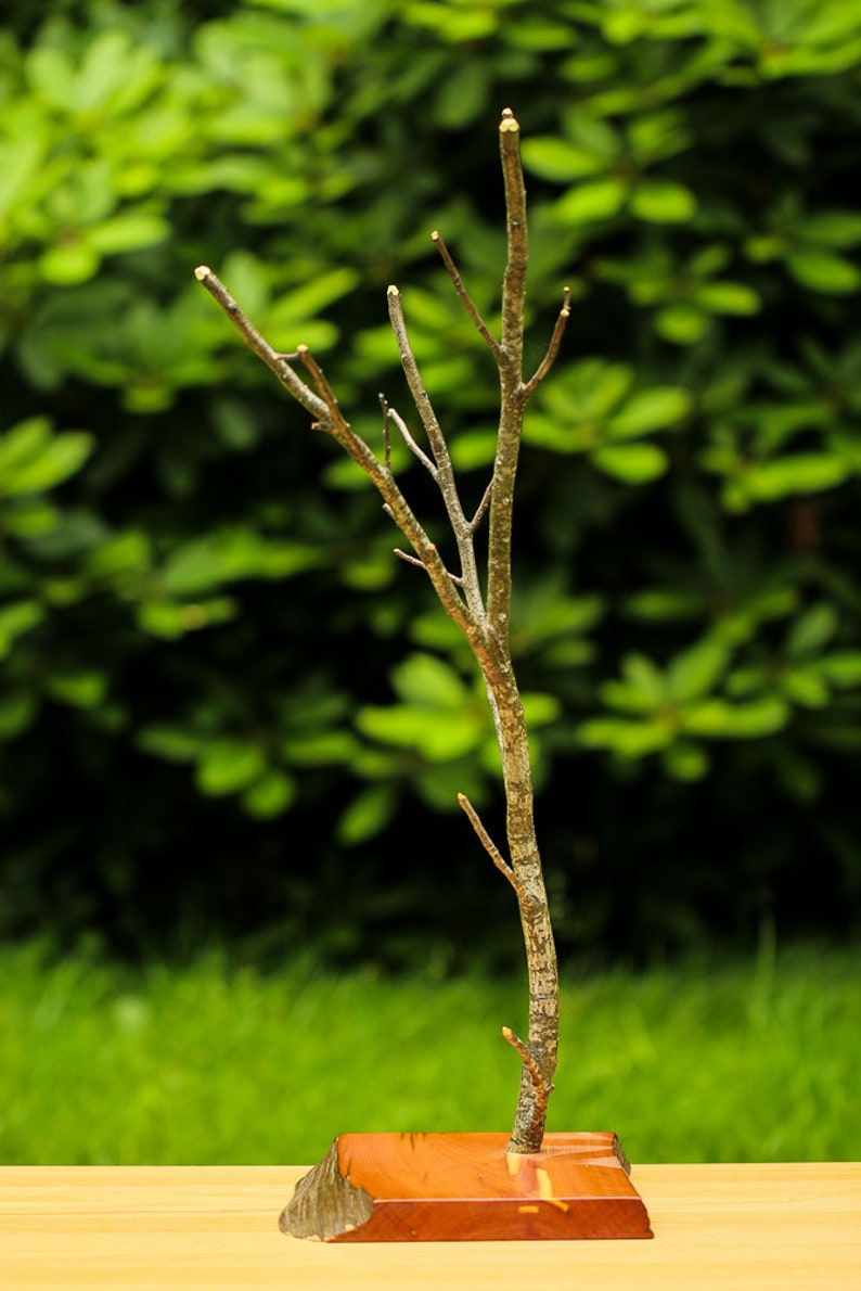 Jewelry Tree, Tree Branch Jewelry Stand, Rustic Wooden Necklace and ...