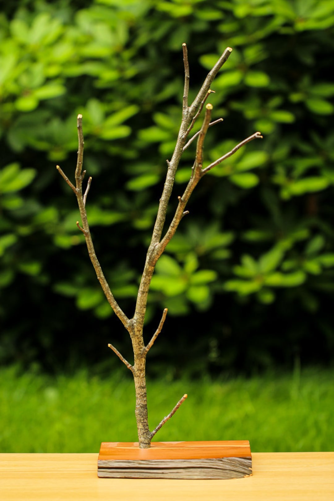 Jewelry Tree, Tree Branch Jewelry Stand, Rustic Wooden Necklace and ...