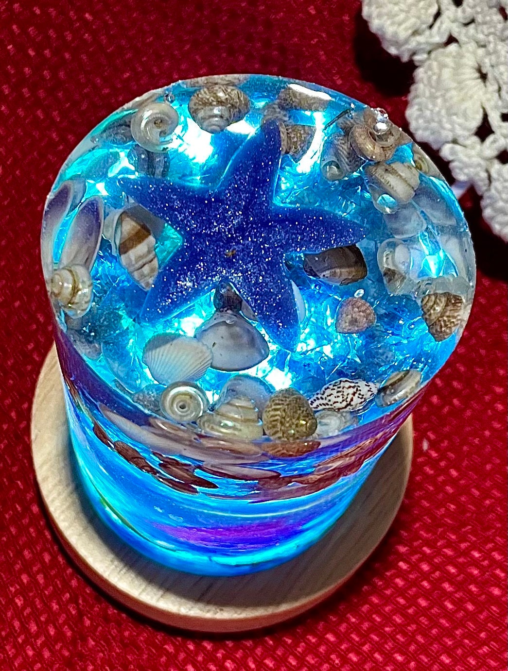 Tropical Fish Shells Nightlight Handmade With Bright USB Plug - Etsy