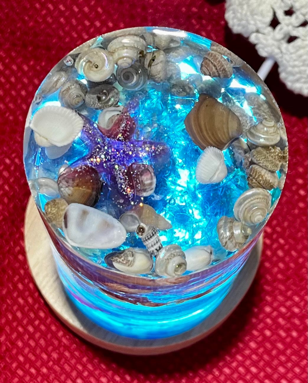 Tropical Fish Shells Nightlight Handmade With Bright USB Plug - Etsy