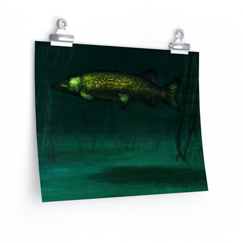 Pike : Fish Art Print From an Original Painting by David Andrews ...