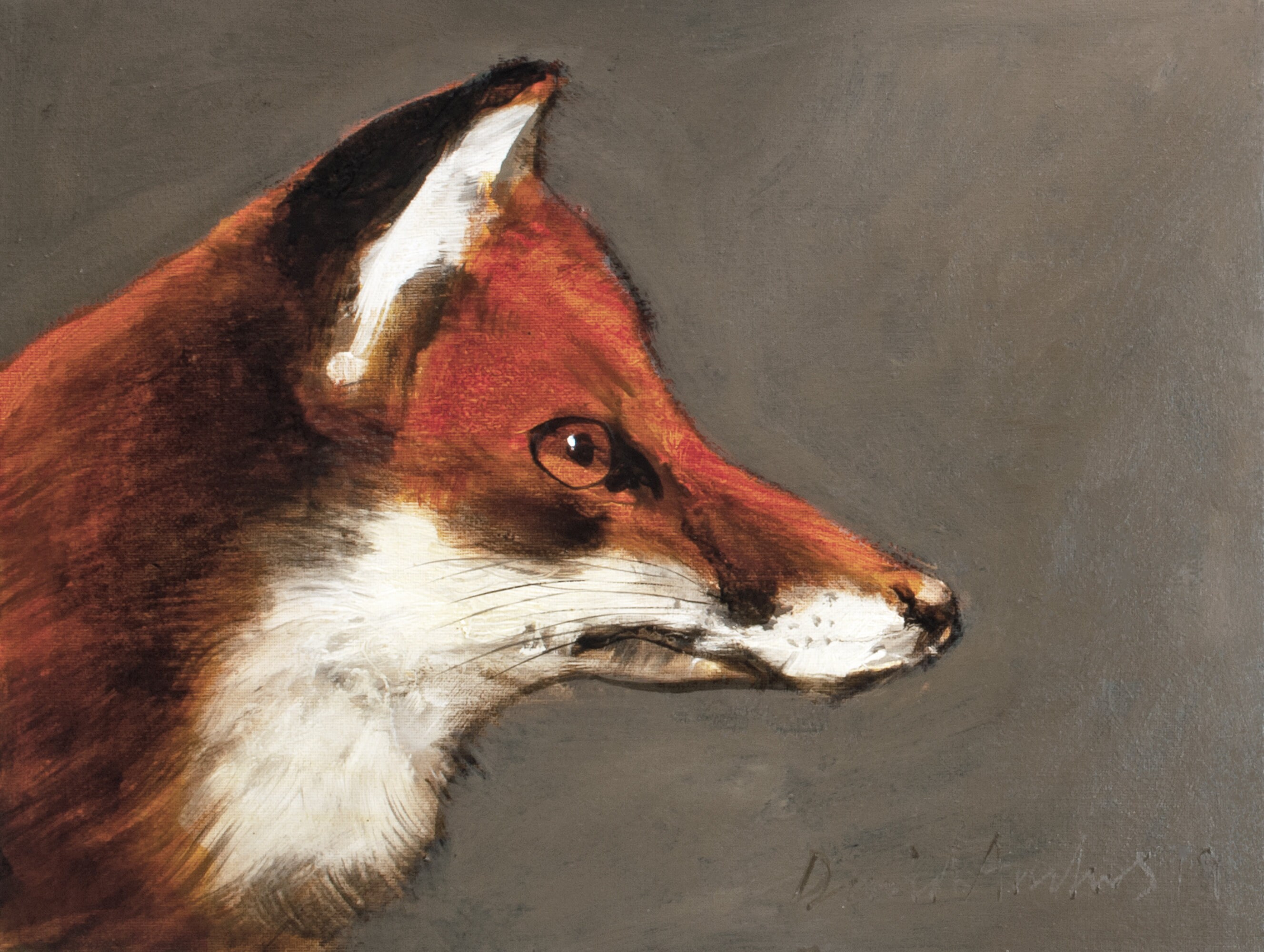 Fox Portrait, Print, Original Painting, by David Andrews, Canvas Print ...