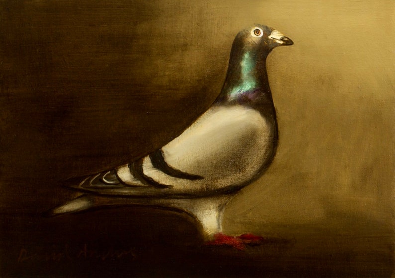 6 Pigeon Greeting Cards Blank Note Cards Notelets Original - Etsy