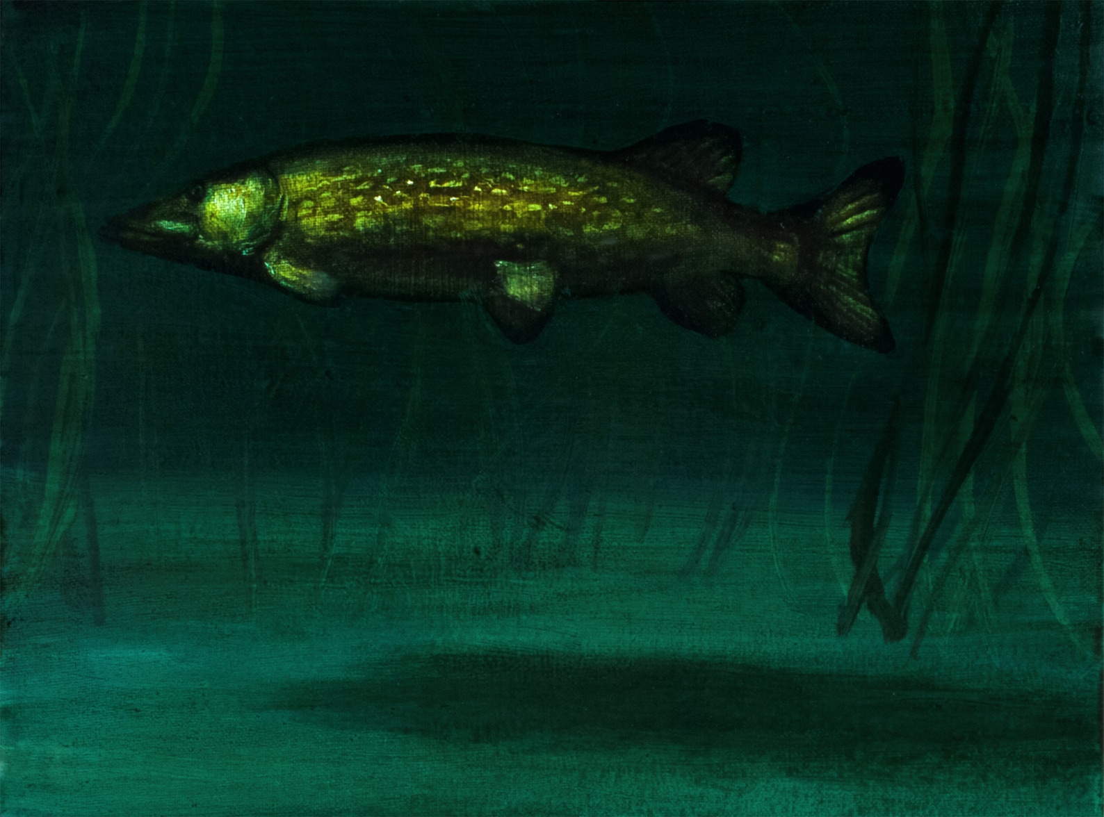 Pike : Fish Art Print From an Original Painting by David Andrews ...