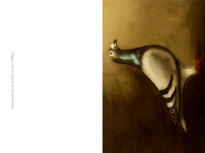 6 Pigeon Greeting Cards Blank Note Cards Notelets Original - Etsy